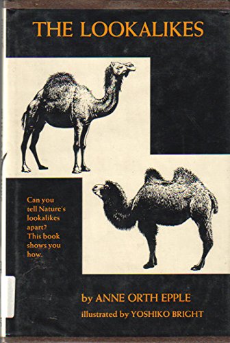 Look-Alikes: Amazon.co.uk: Epple, Anne: 9780312497354: Books