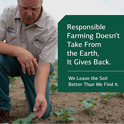 Standard Process Diaplex - Suporte para Vesícula Biliar com Pepsina ...