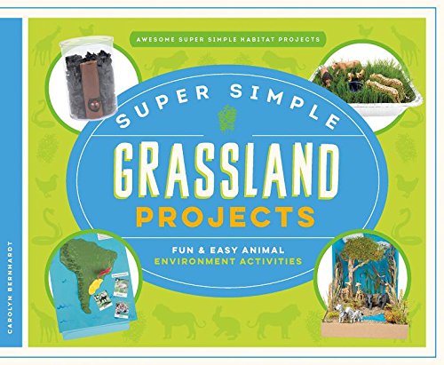 Super Simple Grassland Projects: Fun & Easy Animal Environment ...