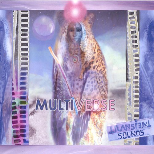 Amazon.com: Multiverse : Transient Sounds: Digital Music