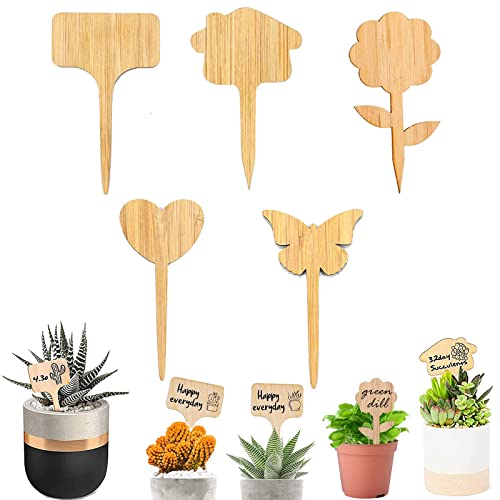 Pack of 40 Plant Signs, Bamboo Weatherproof, Plant Stakes, Garden ...
