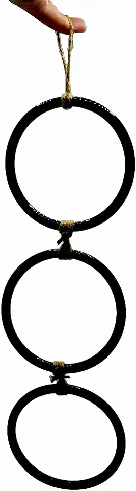 10 Essential Items For A Ball Python Cage Setup | PetShun