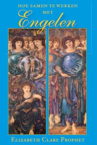 Hoe samen te werken met engelen (Gidsen voor praktische spiritualiteit ...