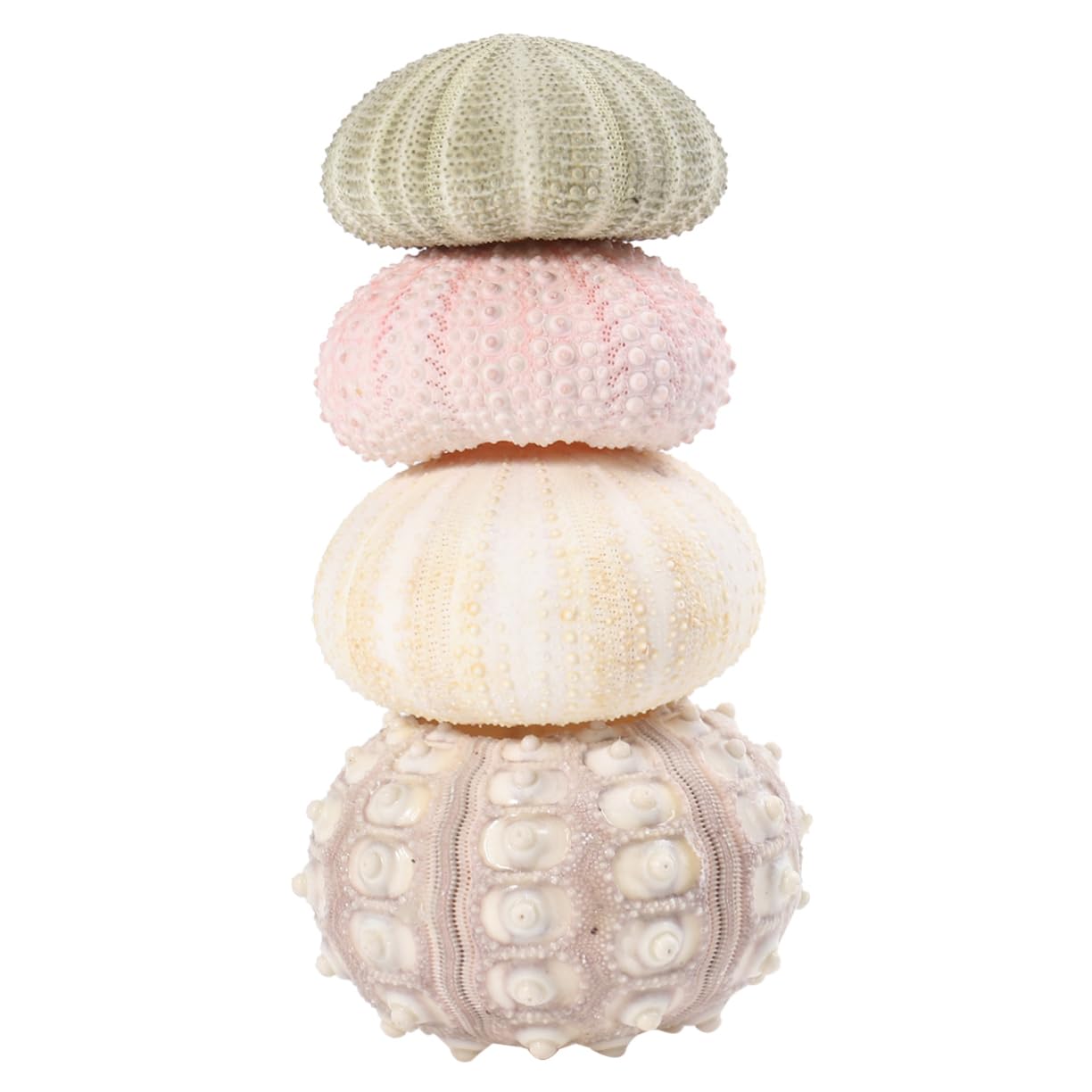 Amazon.com : HOMSFOU 4pcs Tillandsia Planter Small Plant Pots Plant ...