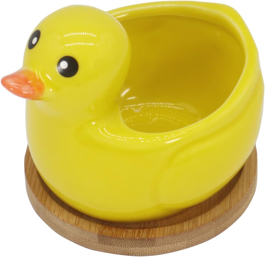 Amazon.com: Gemseek Cute Duck Succulent Planter Pot with Drainage Tray ...