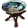 Amazon.com - Ocean Shell Studios 5-6 inches Premium Natural Abalone ...