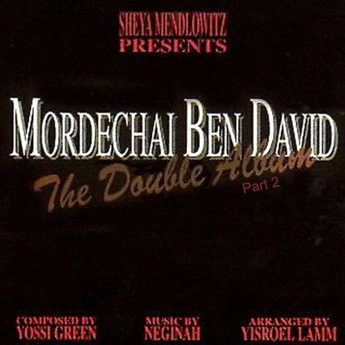 Amazon.com: The Double Album : Mordechai Ben David: Digital Music