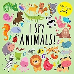 Amazon.com: I Spy - Everything! (I Spy Book Collection for Kids 3 ...