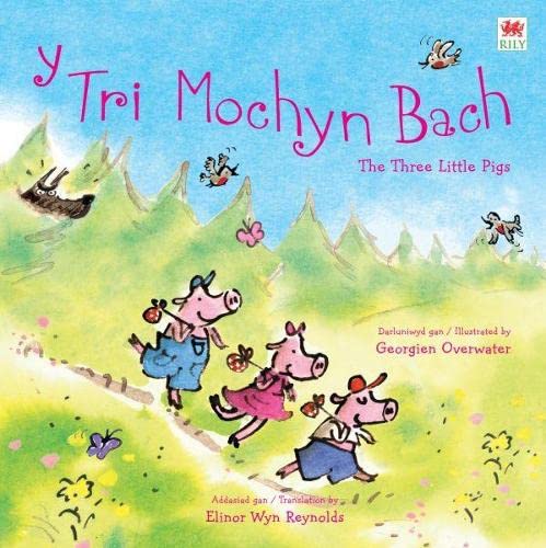 Tri Mochyn Bach, Y: Amazon.co.uk: Davidson, Susanna, WBC, Overwater ...