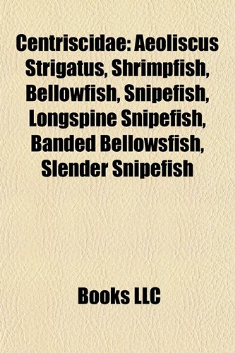 Centriscidae: Aeoliscus Strigatus, Shrimpfish, Bellowfish, Snipefish ...