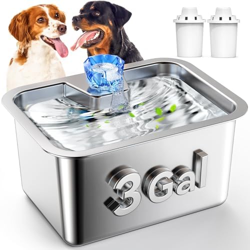 Amazon.com : Dog Water Fountain for Large Dogs, tainless Steel 3Gallon ...