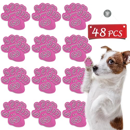 Cut On Dog Paw Pad – The 15 best products compared - Wild Explained