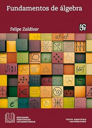 Fundamentos de álgebra (Spanish Edition) eBook : Zaldívar, Felipe ...