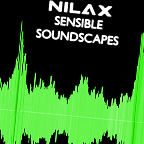 Amazon.co.jp: Sensible Soundscapes : Nilax: デジタルミュージック