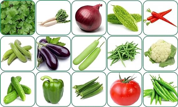 Vihaan Organic Seeds for All-Season, Easy to Grow Indian Vegetable ...
