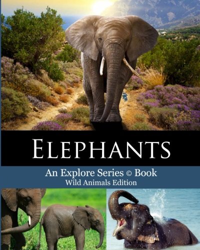 Elephants (Wild Animals): Series, Explore: 9781540586469: Amazon.com: Books