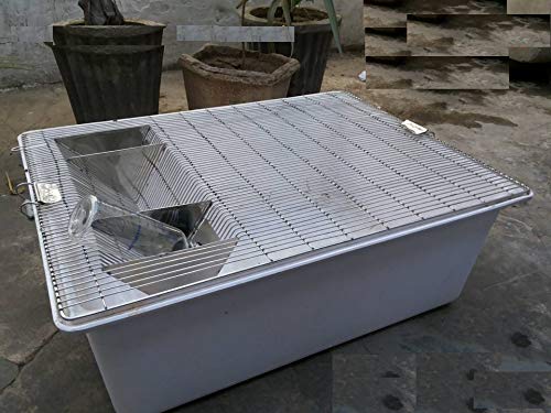 LAB Animal Cages Polypropylene Good for Mice & Rat or Multi Purpose ...