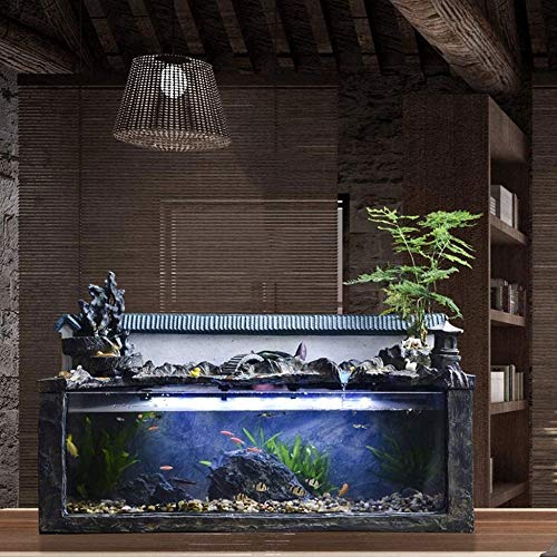Fish Tanks In Apartments