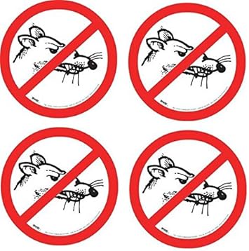 Amazon.com: 4-PCS “No Rats” Hard Hat Stickers – 2 Inch USA Union Decals ...