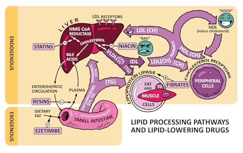 Snapklik.com : Clinical Pathophysiology Made Ridiculously Simple: Color ...