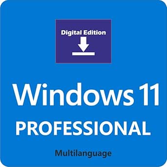 Windows 11 Professional - Product Key für das Original-Betriebssystem ...
