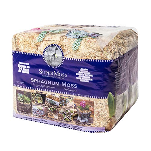 Plant Vibrations with Devin Wallien's Amazon Page