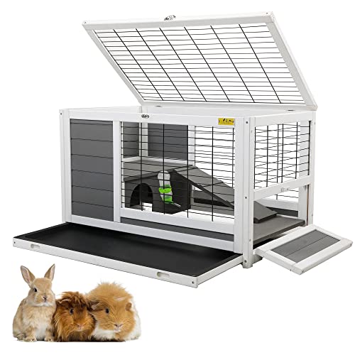 Top 10 Indoor Rabbit Hutches | Best Indoor Bunny Cages in 2022