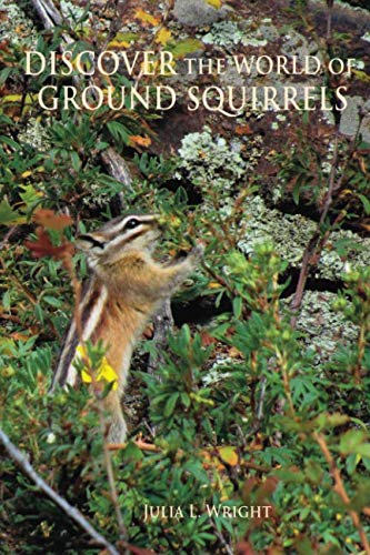 Discover the World of Ground Squirrels: Illustrated Children’s Book ...
