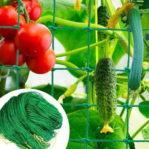 Amazon.com : Trellis Netting, Heavy Duty Garden Trellis Netting for Climbing Plants Outdoor, 6 ...