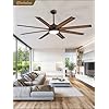 Fanbulous 65 Inch Ceiling Fans with Lights and Remote, Bronze Indoor ...
