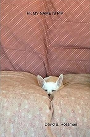 HI, MY NAME IS PIP - Kindle edition by Rossman, David B.. Crafts ...