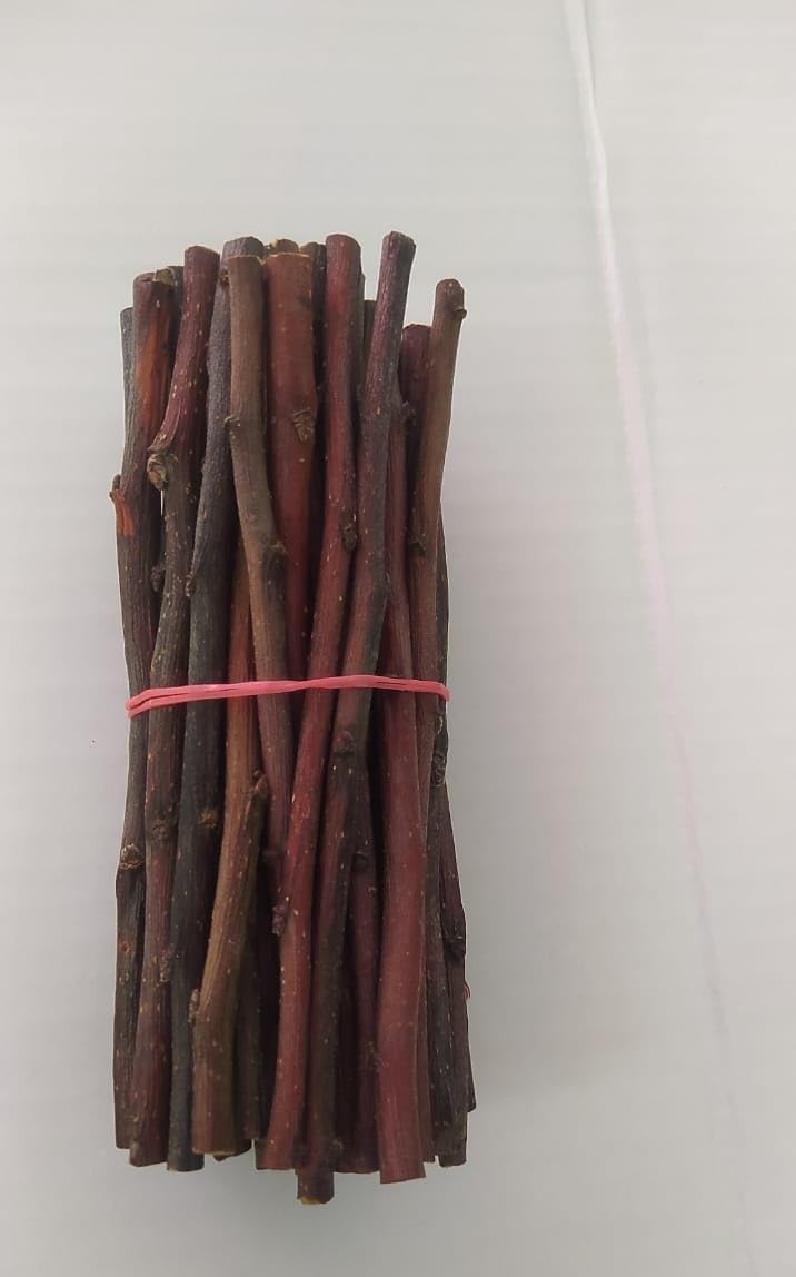 Apple Trees Wooden Sticks 50 Count (15cm Long) : Amazon.in: Home & Kitchen