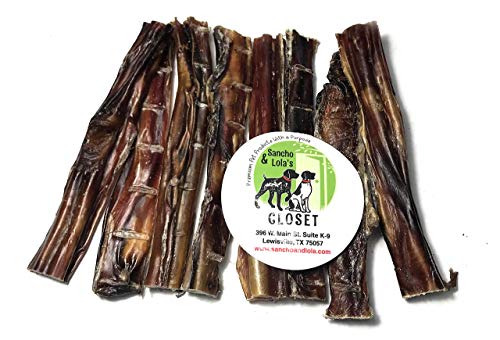 10 Amazing Sancho And Lola Products That Will Make Your Pet's Life ...