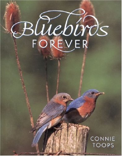 Bluebirds Forever: Toops, Connie: 9780896582491: Amazon.com: Books