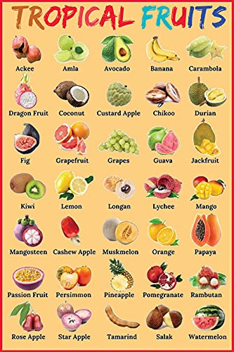 Buy Kids Early Learning for Decoration|Kids |Kids Educational for Wall ...