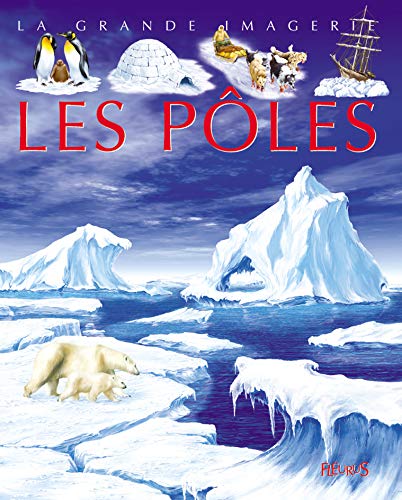Pôles : Franco, Cathy, Dayan, Jacques: Amazon.fr: Livres