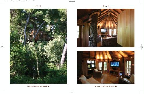 Treehouse Book: Amazon.co.uk: Collins, Candida: 9781602397613: Books