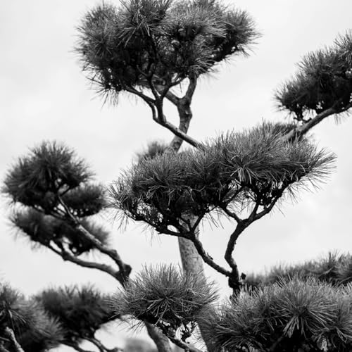 Play painish by Freestyle Ats on Amazon Music