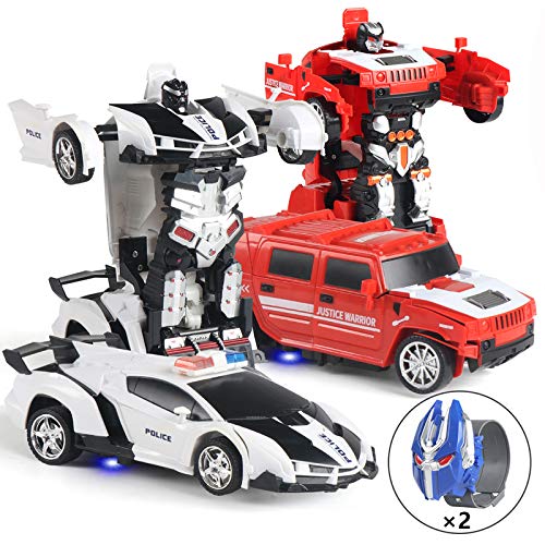 RONGFUDA Remote Control Simulation Model of a Police Car, 2.4 GHz ...