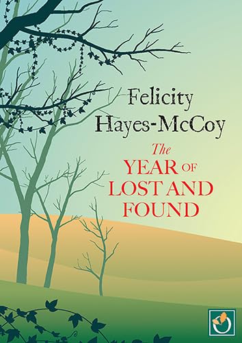 The Year Of Lost And Found: Amazon.co.uk: Hayes-McCoy, Felicity, O ...