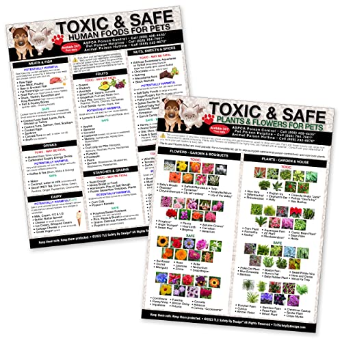10 Shocking Chemicals in Your Dog's Food: The Toxic Dog Food List You ...