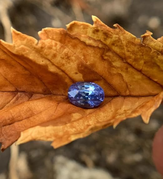 BRAINCORD Srilankan Blue Sapphire Stone Original Certified Neeli Neelam ...