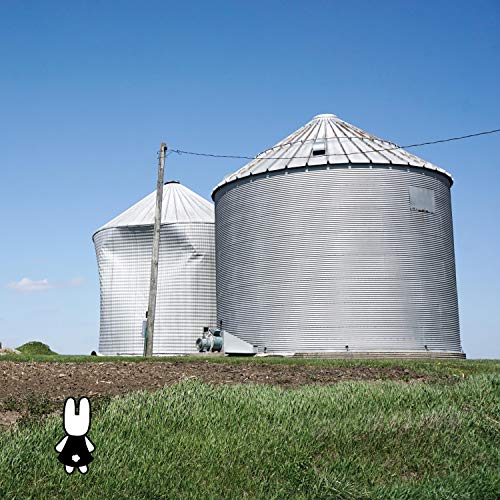 Tony, Please de Soft and Dumb en Amazon Music Unlimited