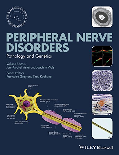 Amazon.com: Peripheral Nerve Disorders: Pathology and Genetics eBook ...