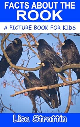 Facts About the Rook (A Picture Book For Kids 623) eBook : Strattin ...