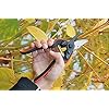 Amazon.com : Felco Pruning Shears (F 160S) - High Performance Swiss Made One-Hand Garden Pruner ...