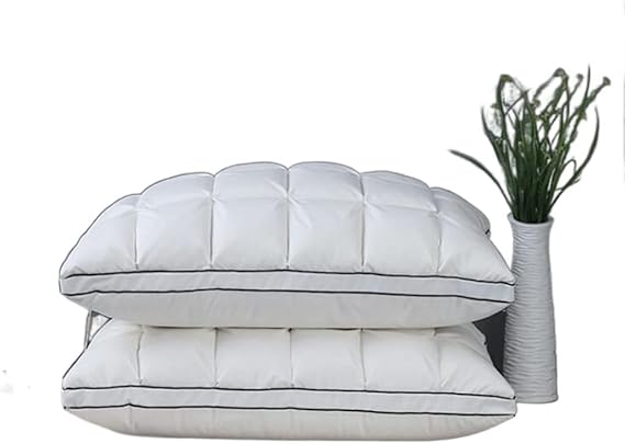 BVDSG Oreiller Confortable et Doux en Duvet, Oreiller Moelleux ...