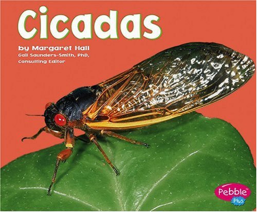 Amazon | Cicadas (Pebble Plus) | Hall, Margaret | Diseases