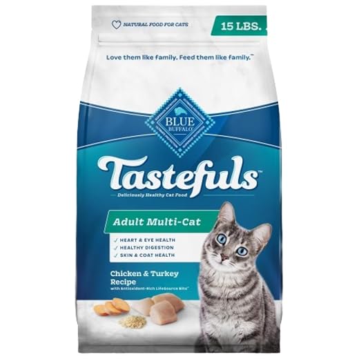 6 Best Cat Dry Foods for Indoor Cats: Vet-Approved Picks for 2026 - Cat ...