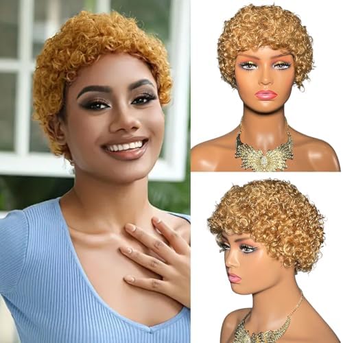 Amazon.com : Afro Kinky Curly Wigs for Black Women Short Wig Remy Human Hair, Blonde 27# Short ...